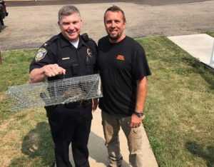 Animal Control Specialists, LLC (330) 608-1718